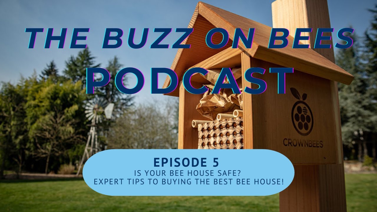 Is Your Bee House Safe? Expert Tips to Buying the Best Bee House! | Ep ...