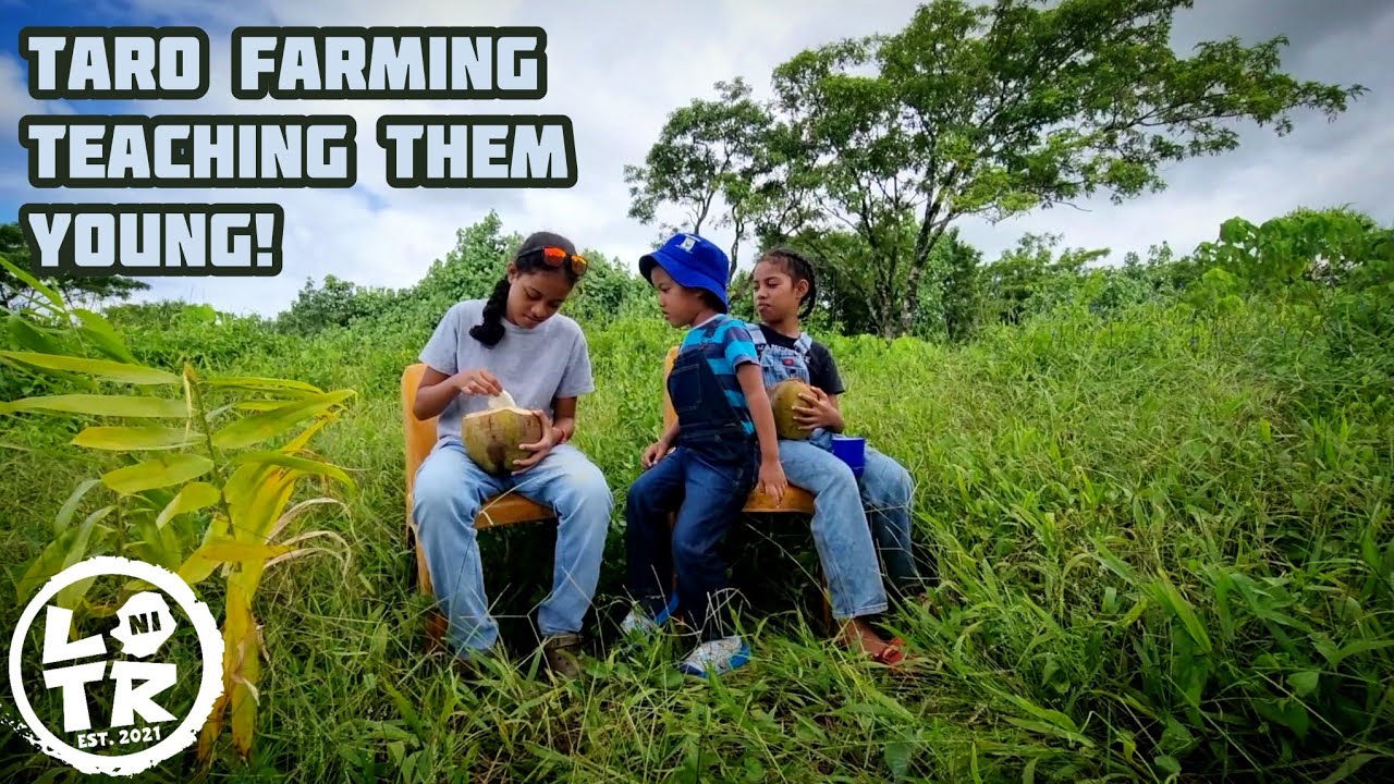 Taro Farming, Teaching Kids Young, The Life Outdoors! - YouTube
