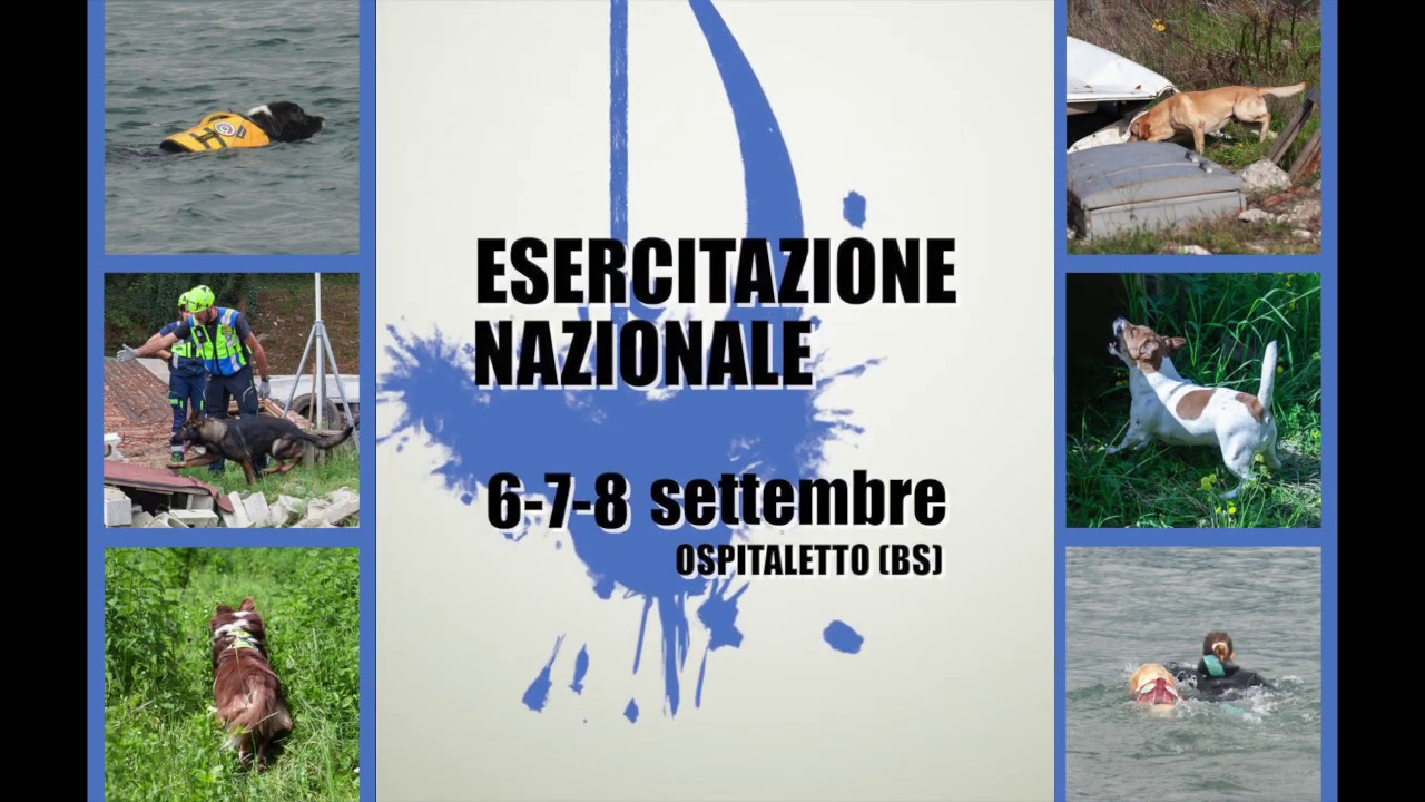 ZSFA - YouTube
