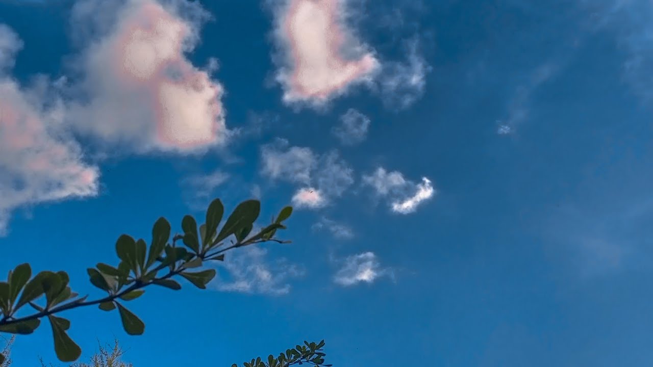 TUTORIAL PUSH UP - YouTube