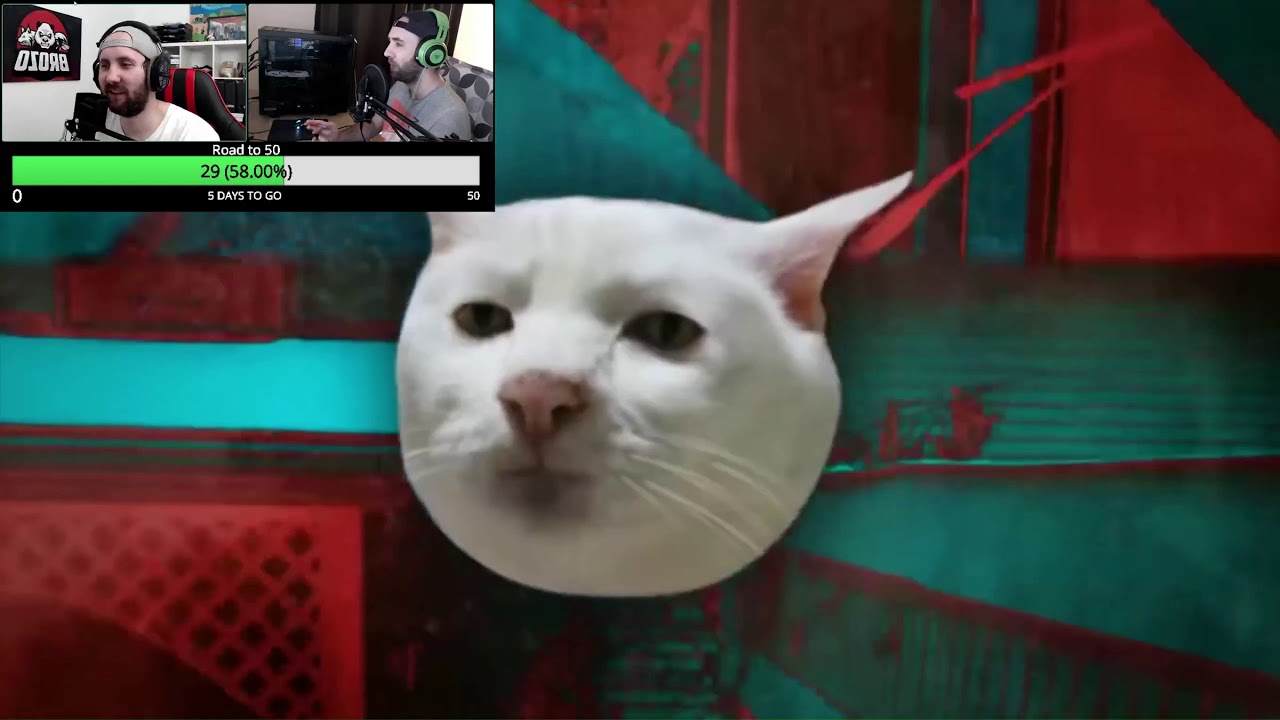 Reaction | Dankest Cat Memes Compilation Bros Reacten #010 - YouTube