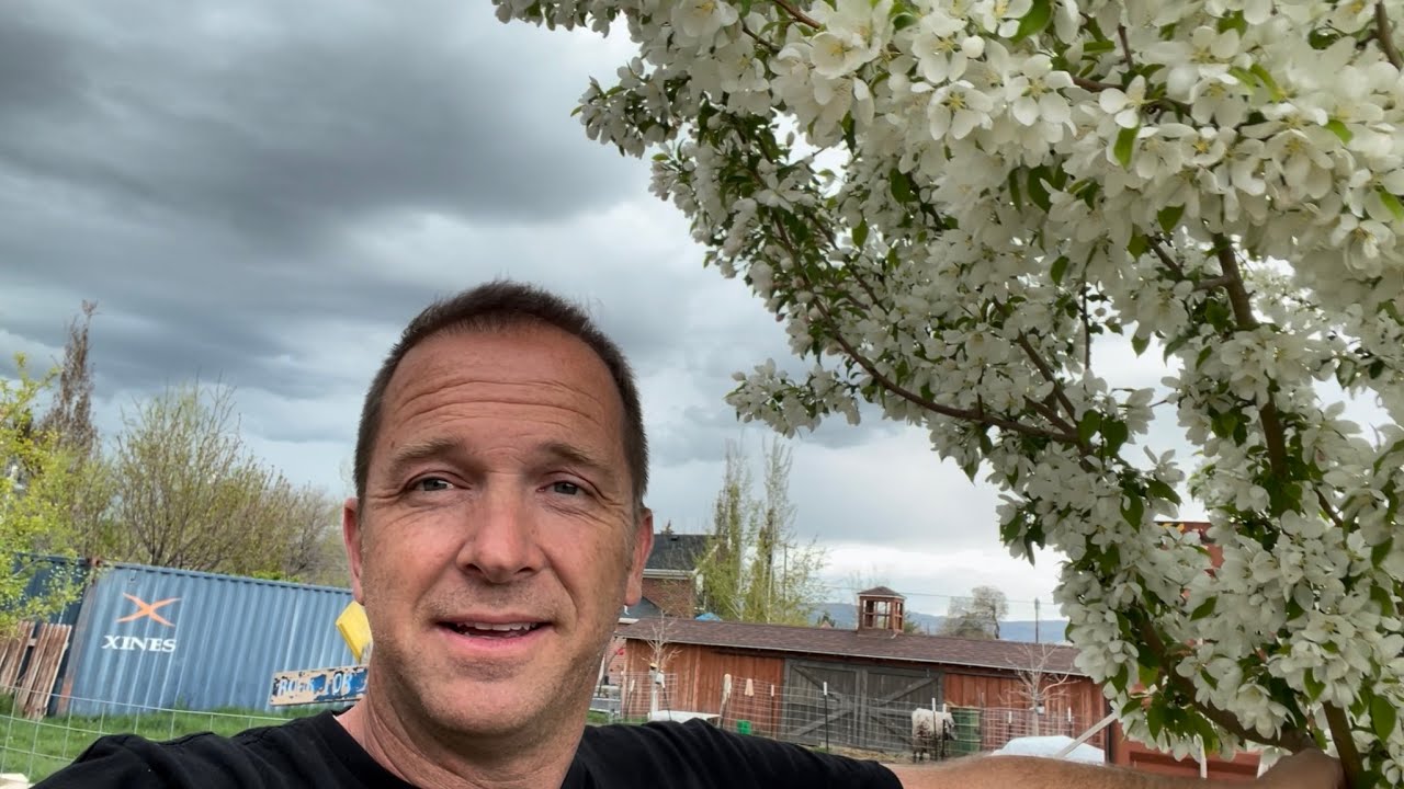 Homestead tour – outside plant, orchard and blossom tour - YouTube