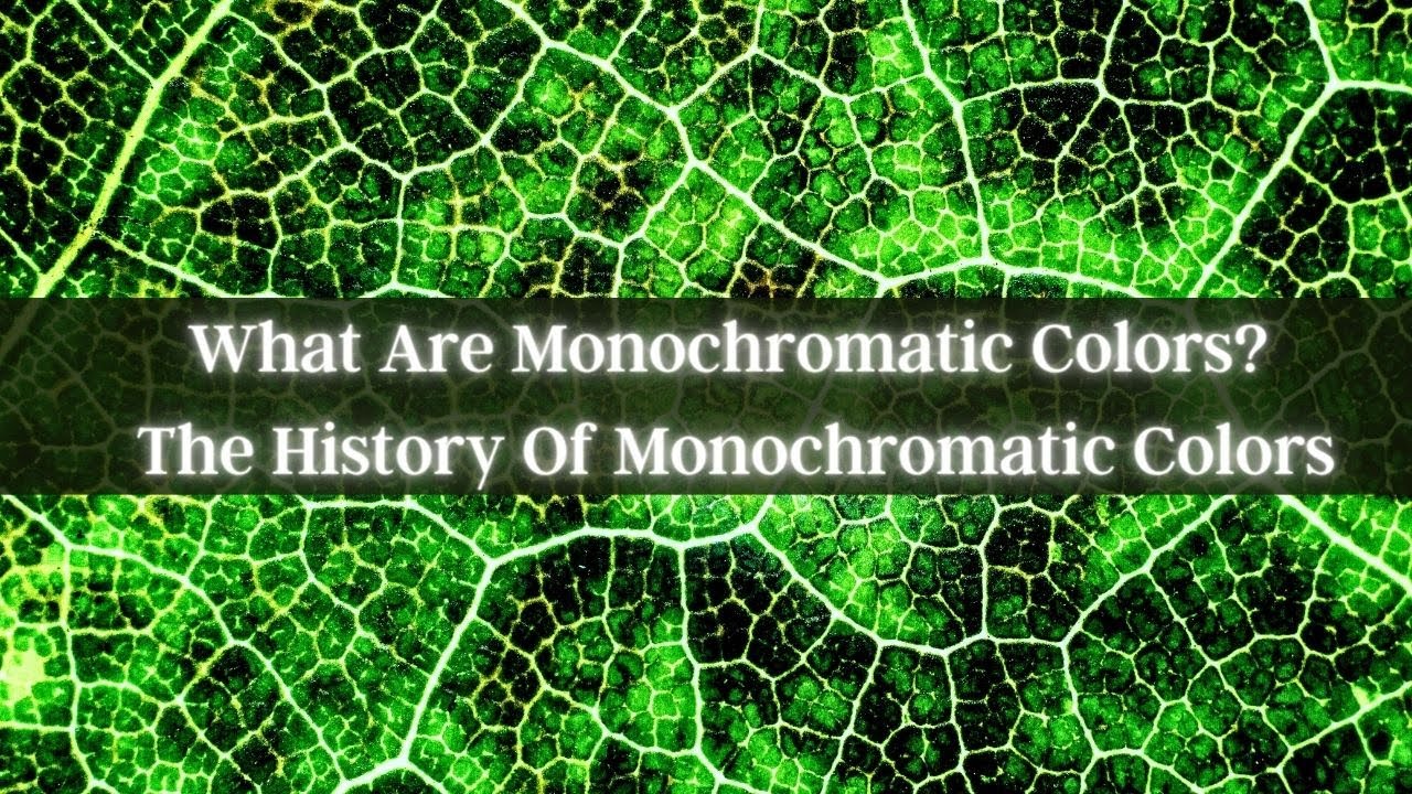 What Are Monochromatic Colors? The History Of Monochromatic Colors ...