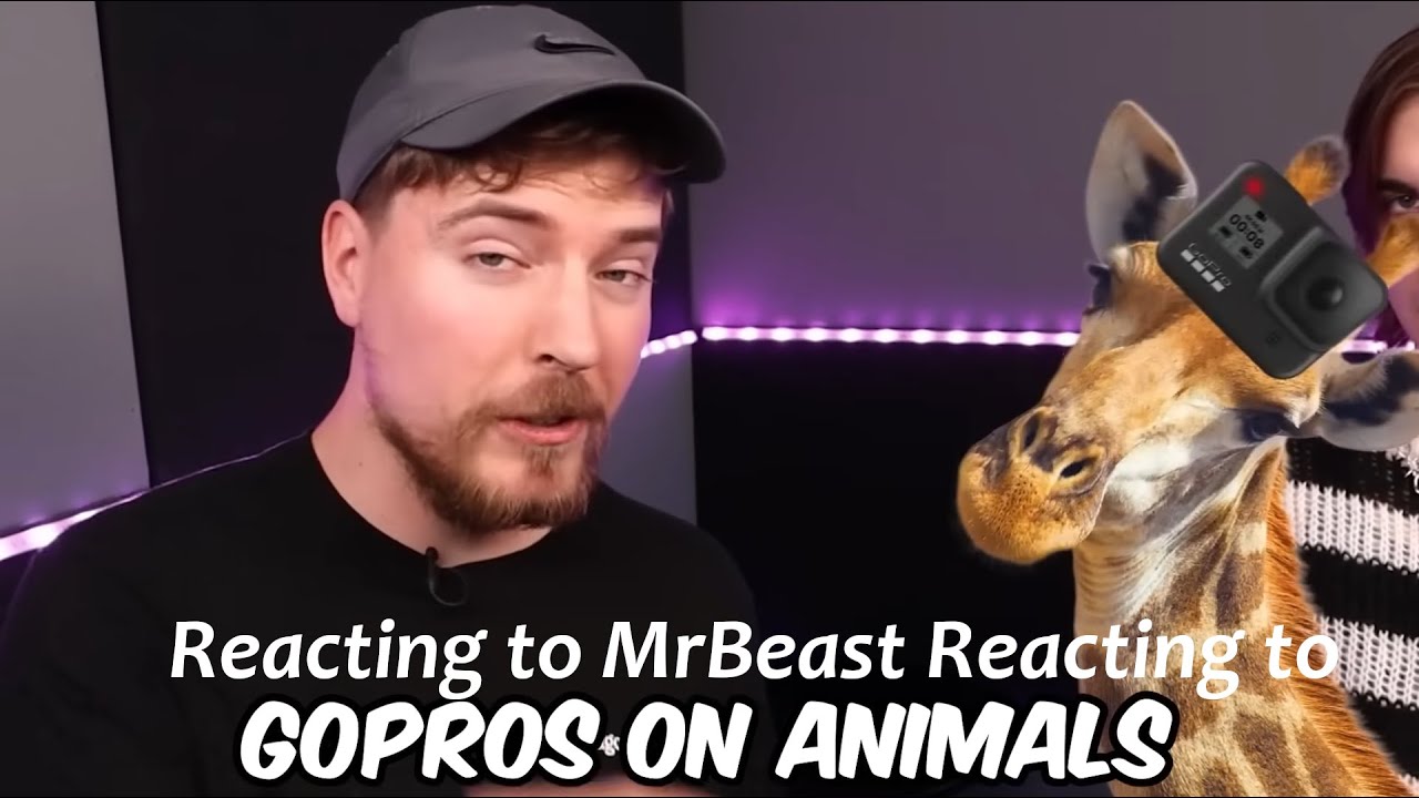 REACTING TO MR BEAST VIDEOS TILL I REACT WITH MR BEAST - YouTube