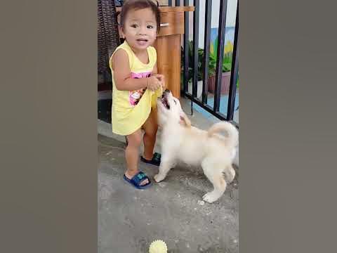 laro lang walang hilaan ng damit lalo na ng panty 😂#dog - YouTube