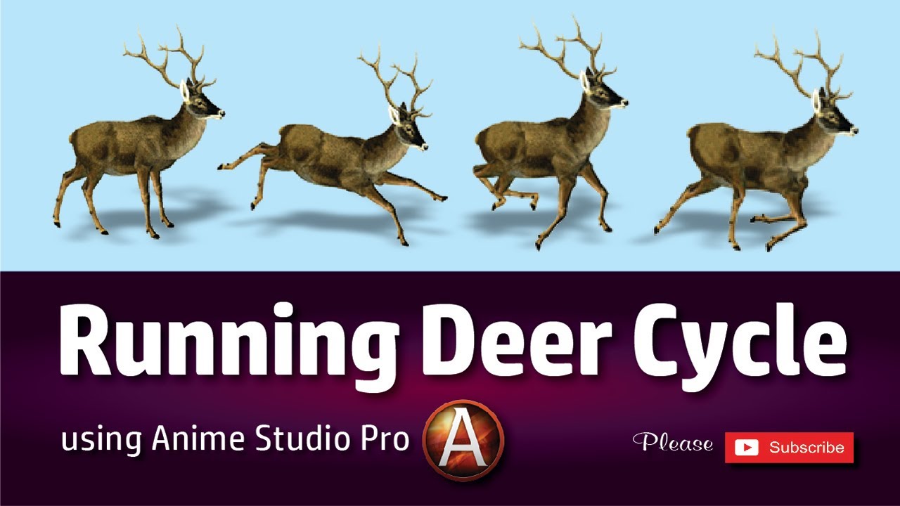 Deer Run Cycle