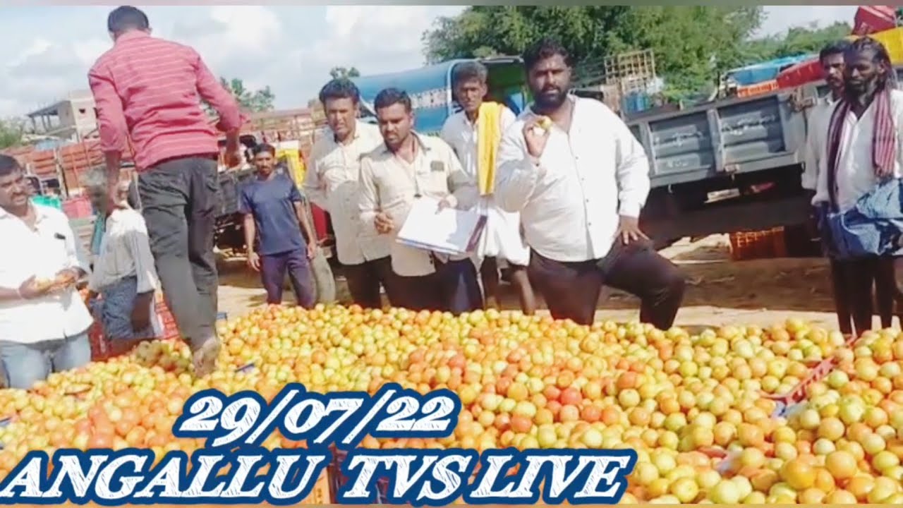 ANGALLU TVS MANDY LIVE¡¡29/07/22#angallu tamotoprice @sayedshahataj2000 ...