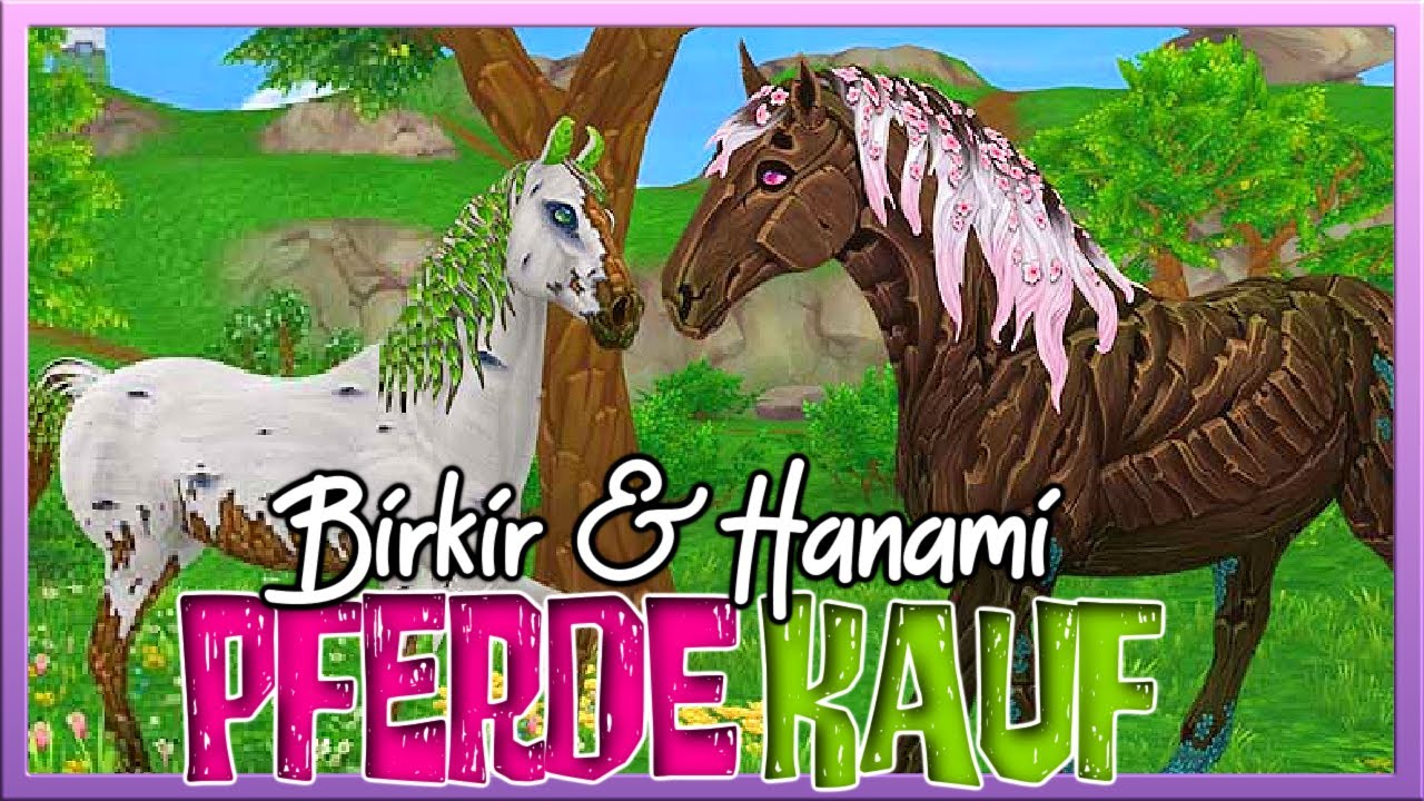 ich KAUFE das *magische Pferd* HANAMI 🦄🌸 Percheron Pferdekauf SSO - YouTube