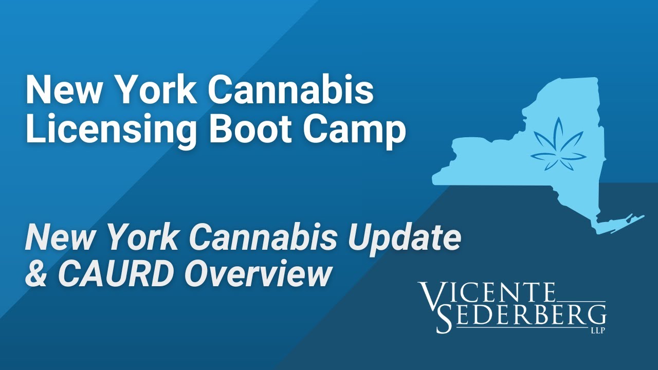 New York Cannabis Licensing Bootcamp: Conditional Adult Use Retail ...