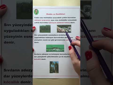 TYT Fizik Madde ve Özellikleri #shorts #tyt2024 #maddeveözellikleri #tytfizik2024 #tytfizik