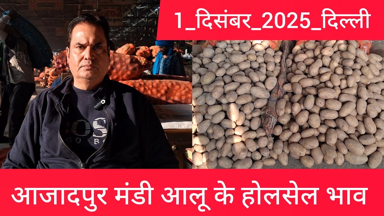 December 1, 2025 दिल्ली 🥔आलू के भाव Azadpur Delhi mandi today # ...