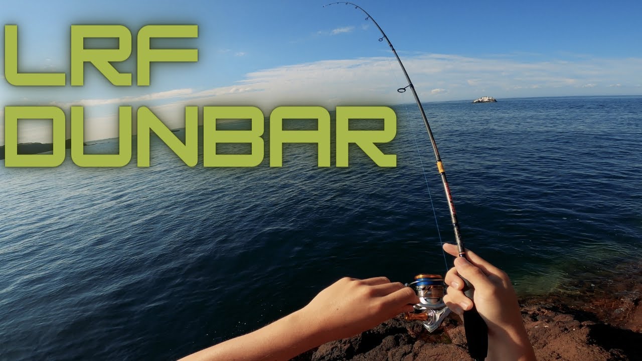 How Many Fish Can I Catch In An Hour? LRF Dunbar Harbour - Multi ...