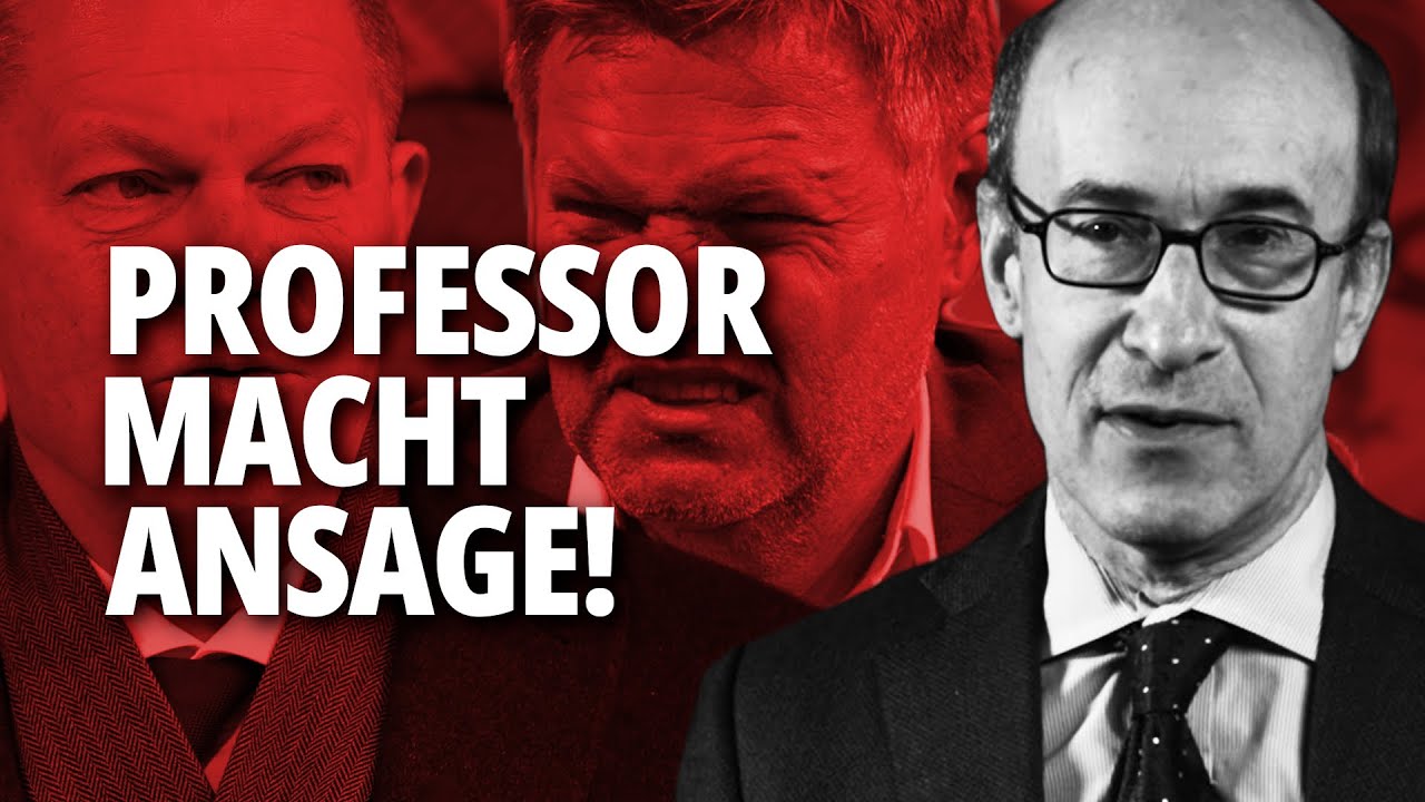 Harvard Professor macht heftige ANSAGE gegen Scholz - YouTube
