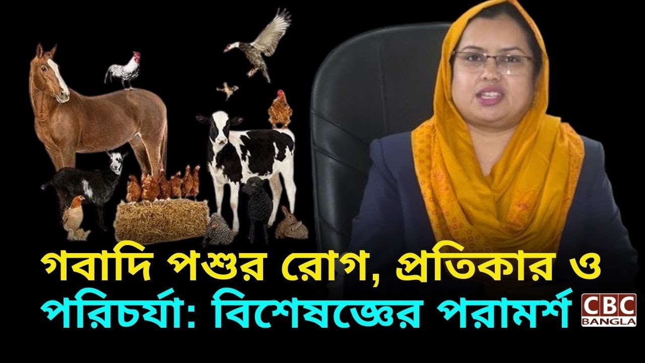 "শীতে গবাদি পশুর রোগ, প্রতিকার ও পরিচর্যা: বিশেষজ্ঞের পরামর্শ" | Dr. Rahela Parveen Ruma - YouTube