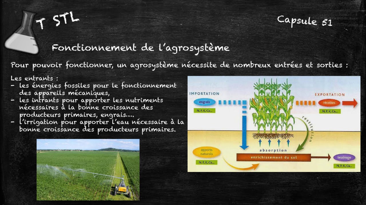 Capsule n°51 : Notion d'agrosystème - YouTube