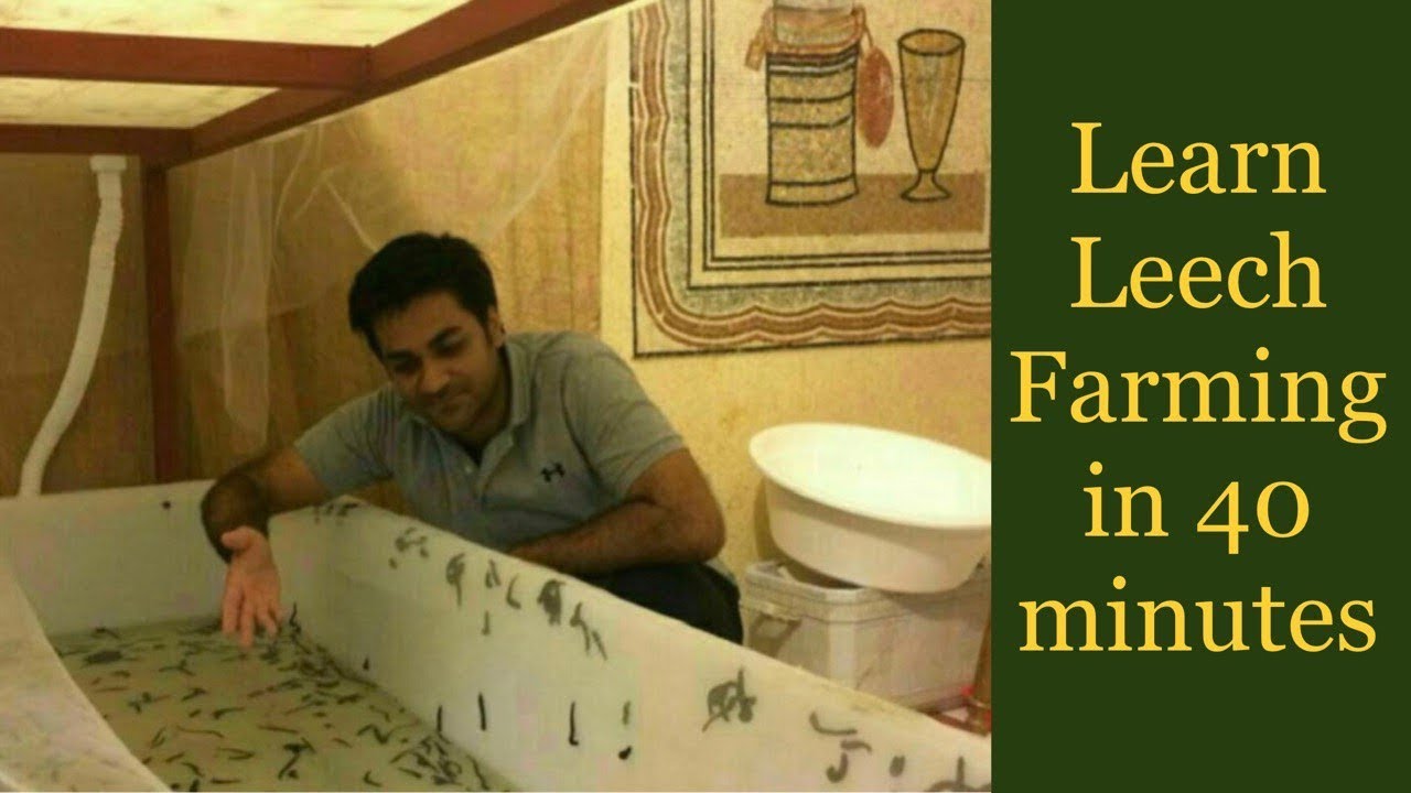 Learn 0 by 100 of leech farming only in 40 minutes! - YouTube