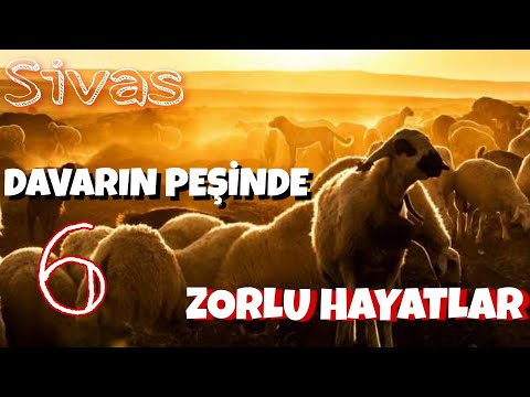 DAVARIN PEŞİNDE ZORLU HAYATLAR 6
