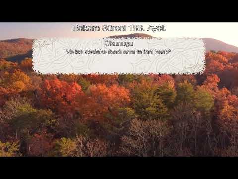 Bakara Süresi 186  Ayet. Ne için okunur?