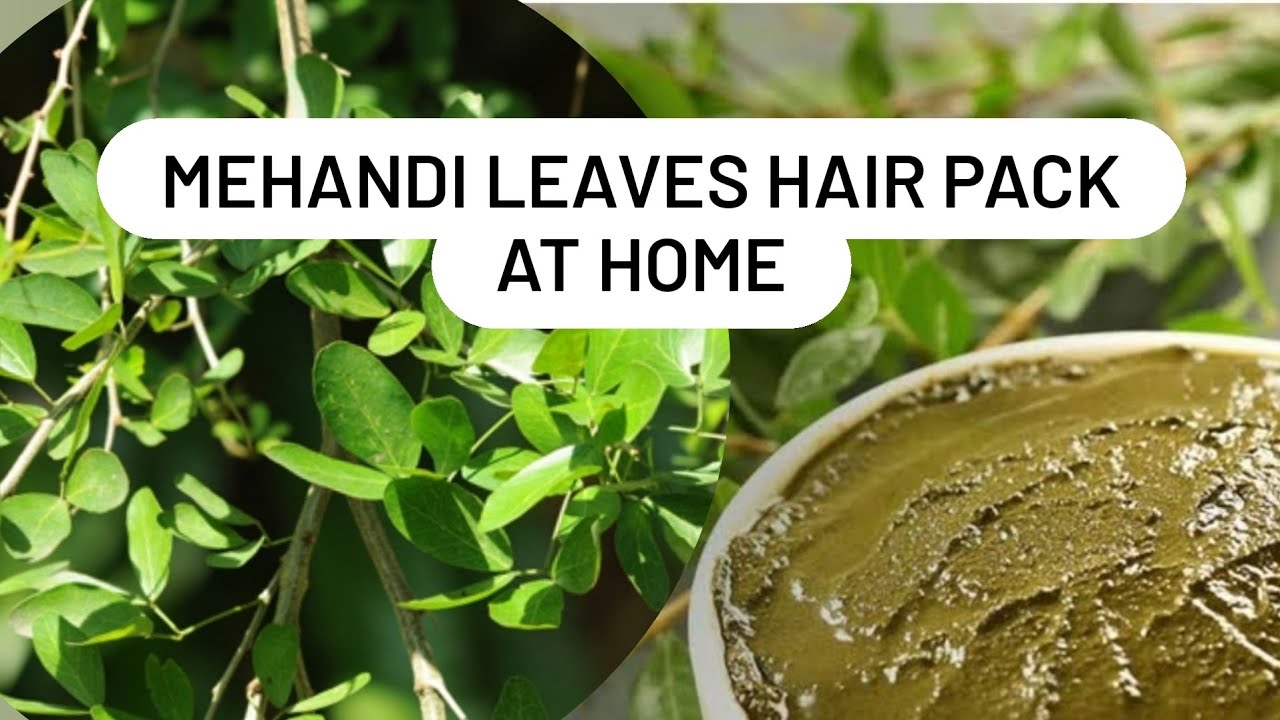 ಕನ್ನಡದಲ್ಲಿ mehendi leaves hair pack at home|mehandi leaves hair pack in ...