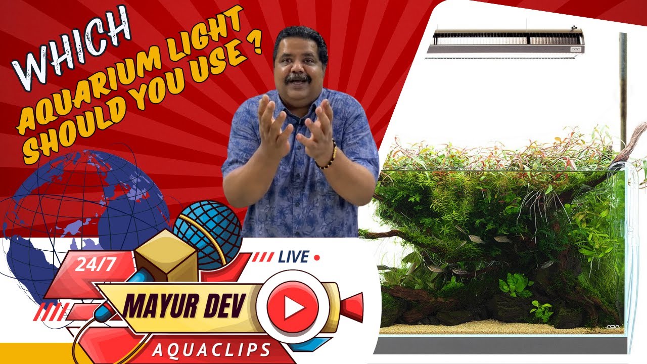 Which AQUARIUM LIGHT should you choose? | All about Planted Aquarium | Mayur Dev Aquascaper ...