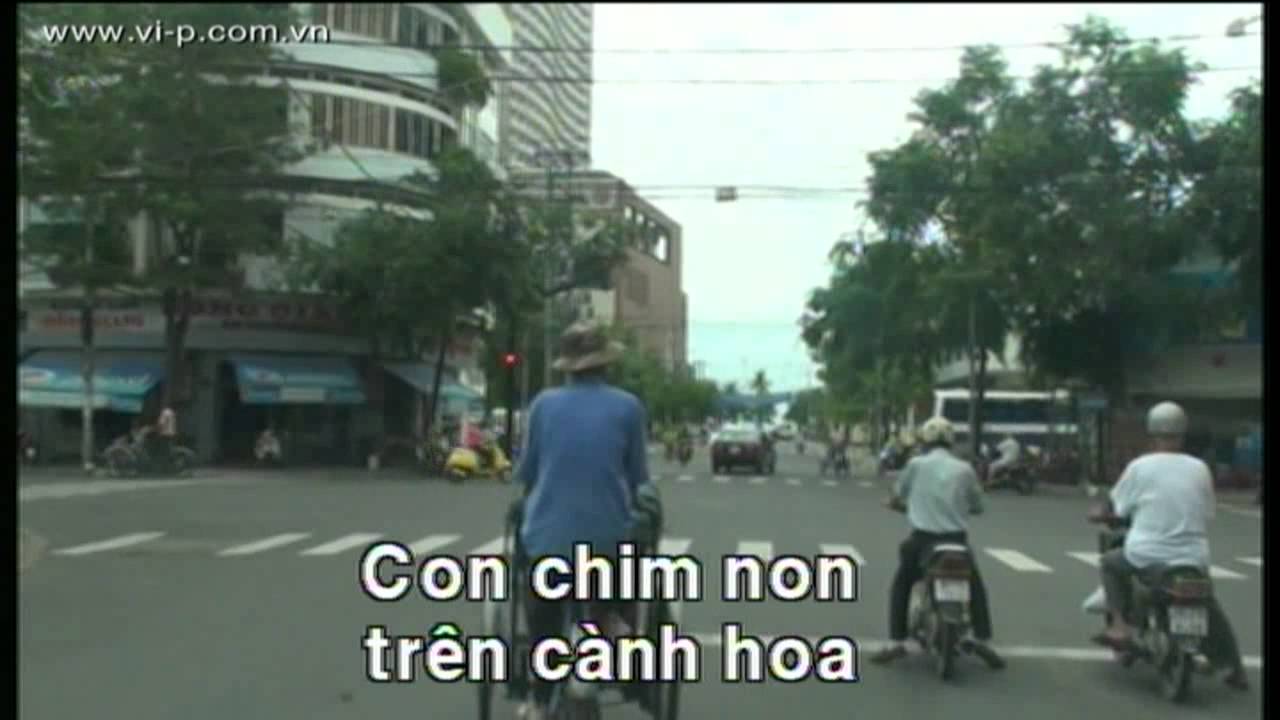 Con chim non - Thiếu nhi Karaoke - YouTube