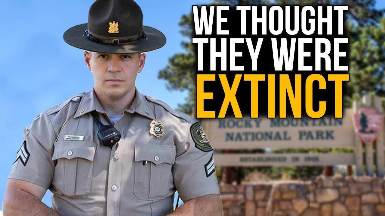 Park Ranger Uncovers THIS at Rocky Mountain National Park - YouTube