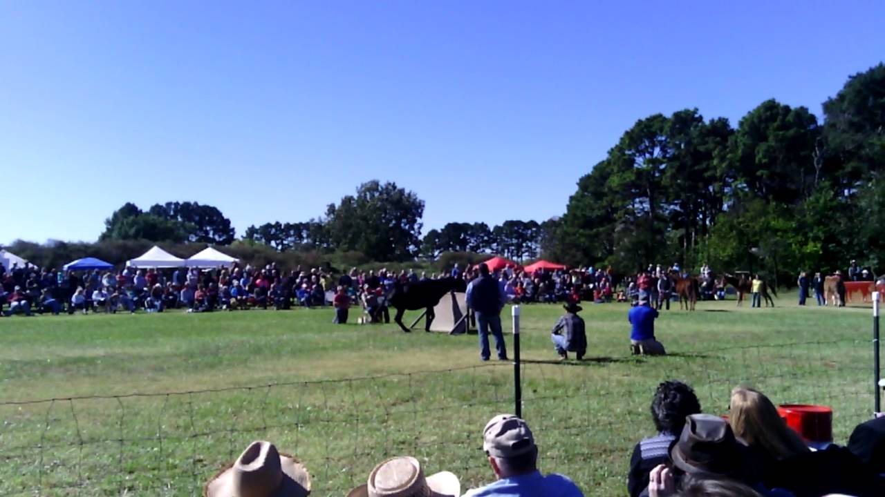 PeaRidge Mule Jump - YouTube