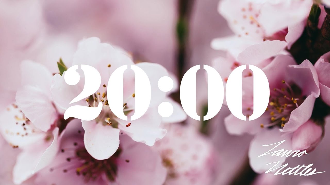20 Minute Pink Sakura Timer - YouTube