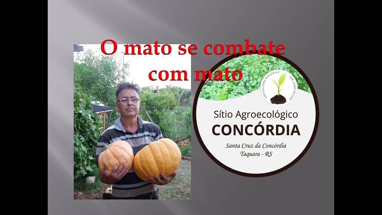 como plantar sem revolver o solo, plantio direto - YouTube