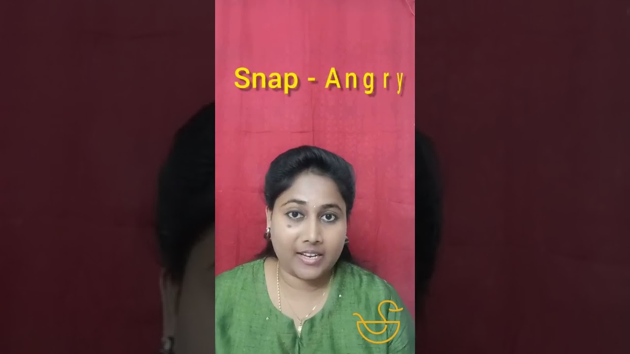 Verb / Snap / DS English - YouTube