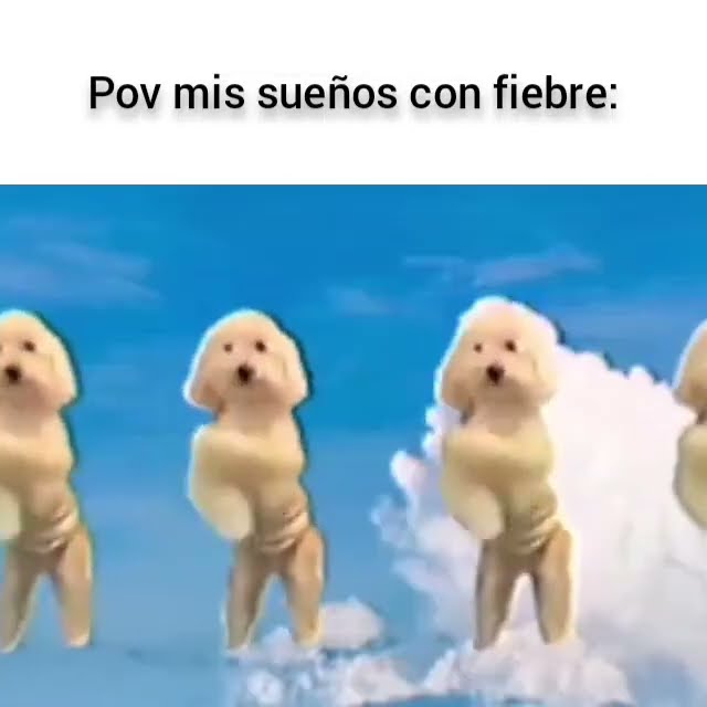 Y luego me levanto todo sudado sin saber que vr- acaba de ocurrir 🥶-# ...