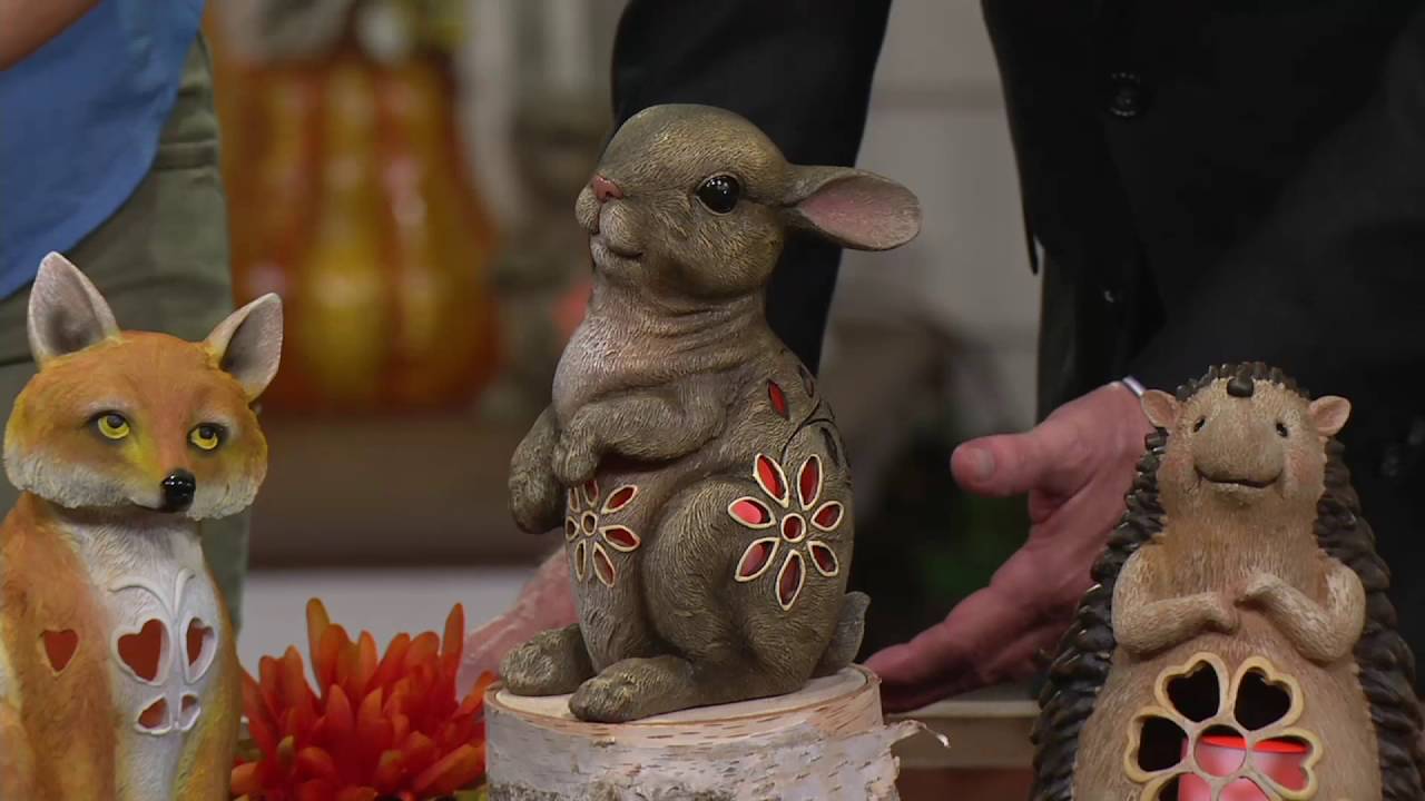 Animal Luminary with Flameless Candle by Home Reflections on QVC - YouTube