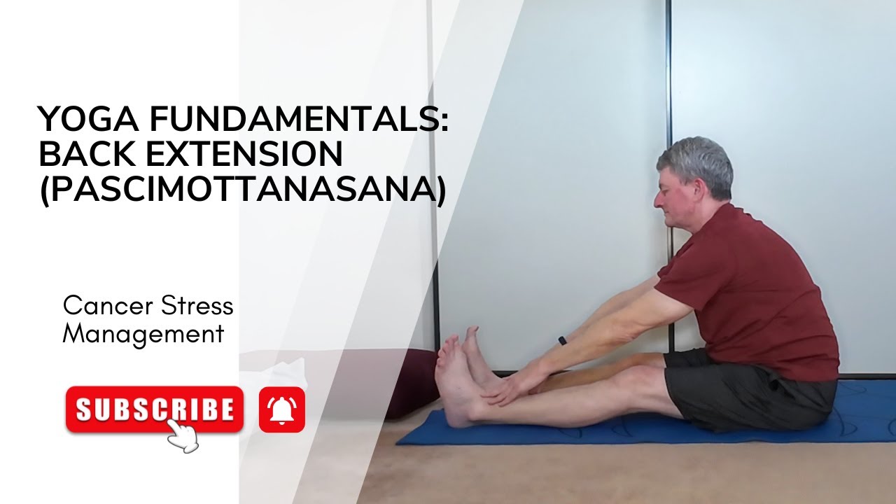 Yoga Fundamentals - Pose 4 - Back Extension (Pascimottanasana) - YouTube