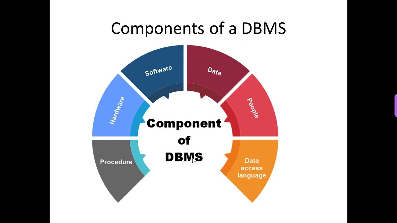 Rpsc Programmer Online Preparation Lec 2 Mcqs Overview Of Dbms Part 2 Rpscprogrammer