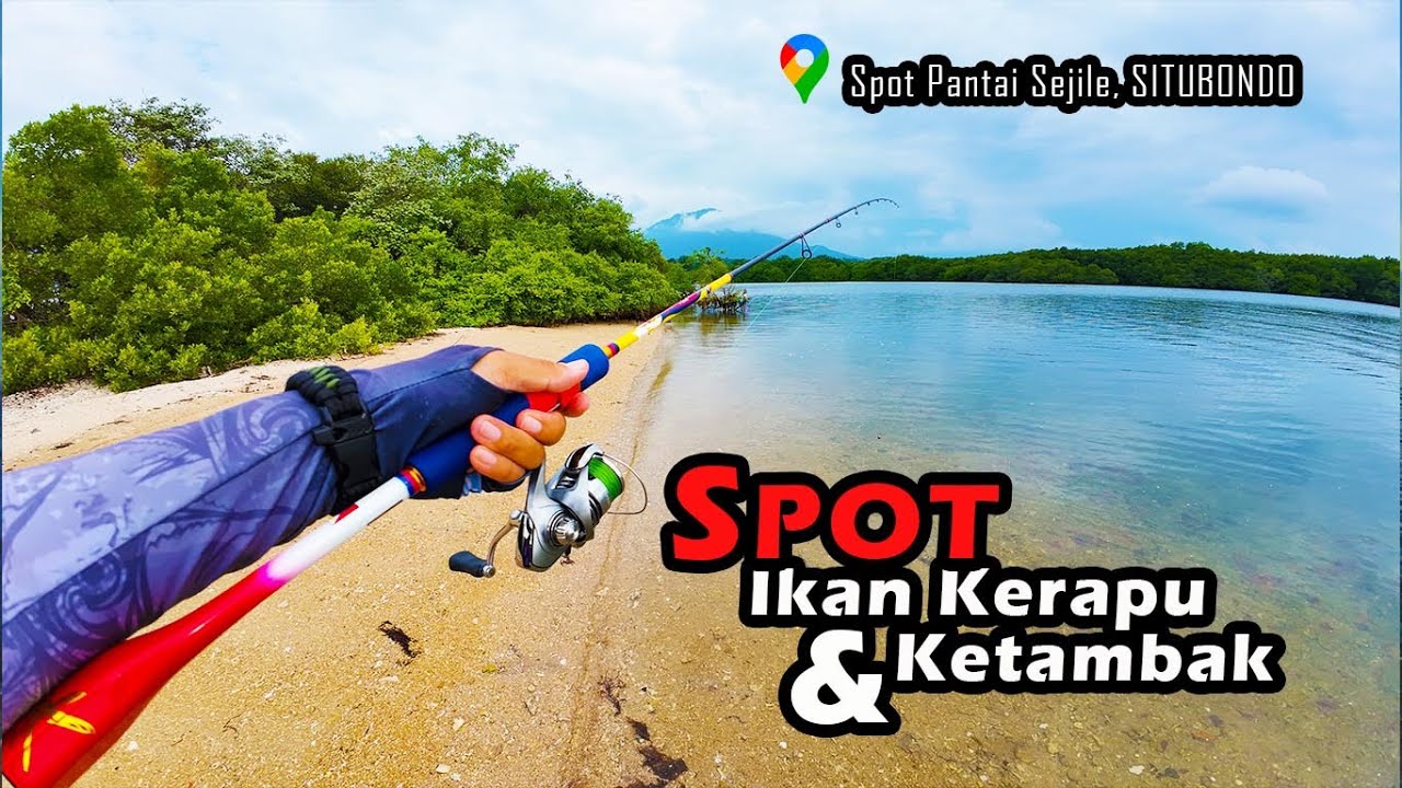 Inilah Spot Ikan Kerapu & Ketambak || Pantai Sejile, Bilik, SITUBONDO ...
