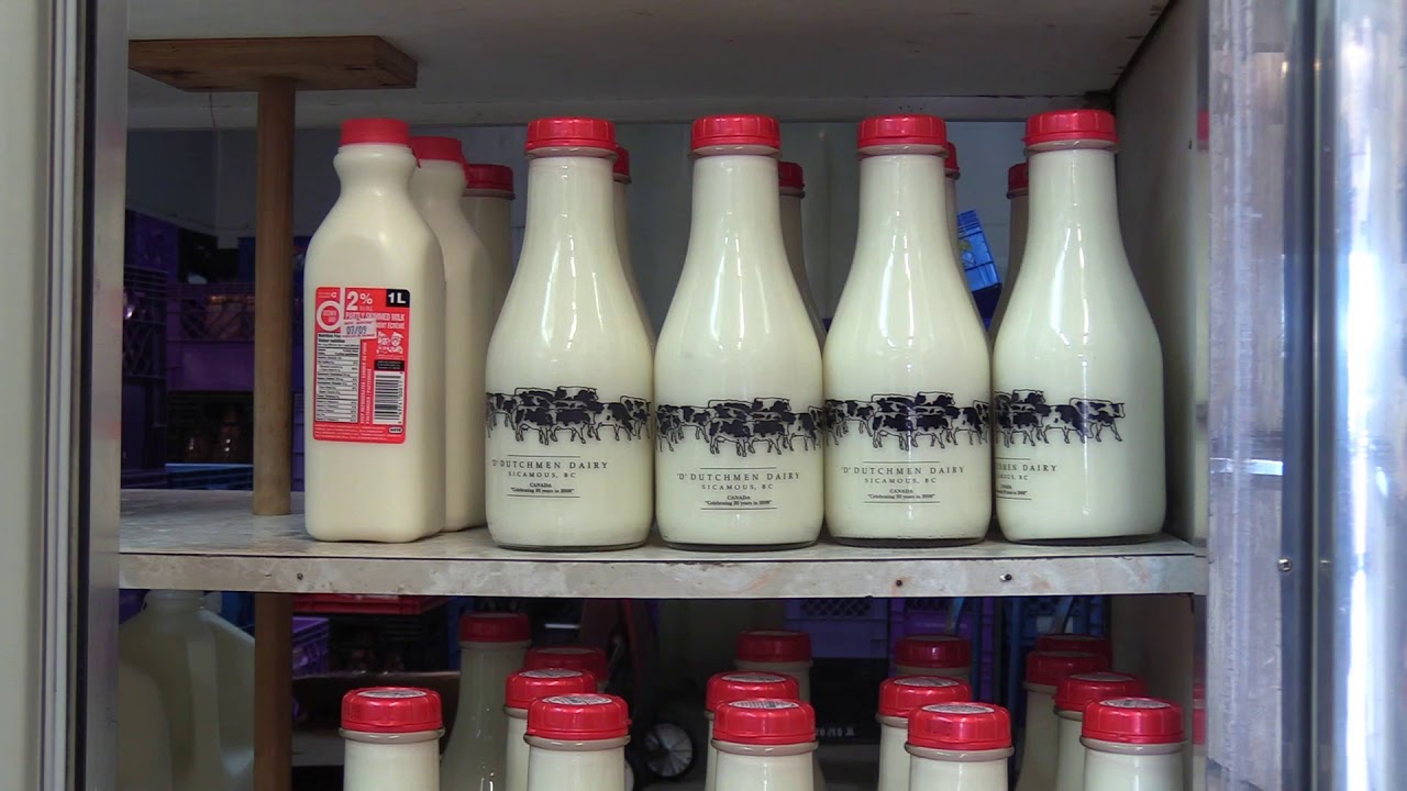 D Dutchmen Dairy Milk - YouTube