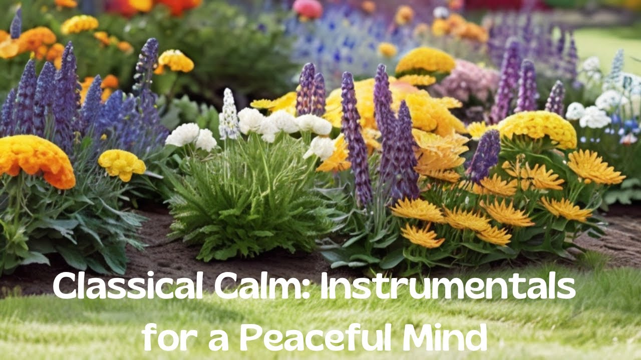 Classical Calm: Gentle Instrumentals for a Peaceful Mind - YouTube