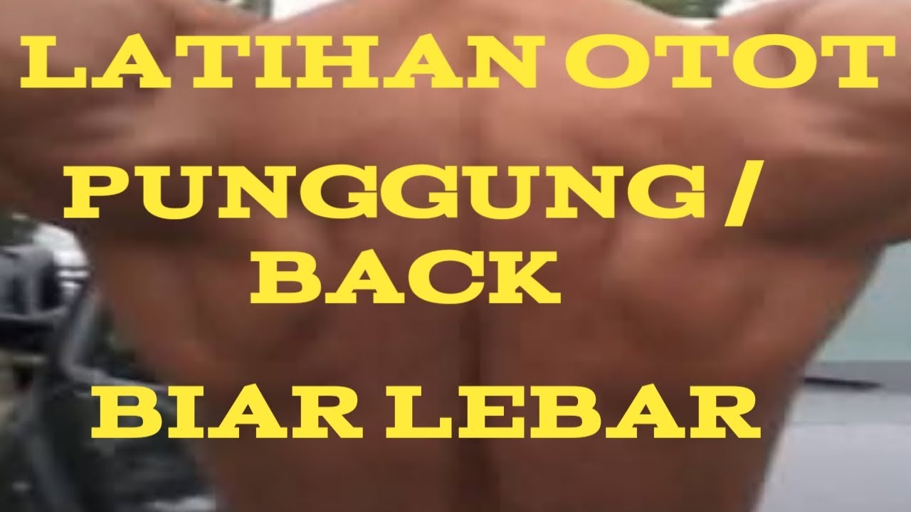 Latihan otot punggung/ back biar Lebar kayak Cobra....#fitness # ...