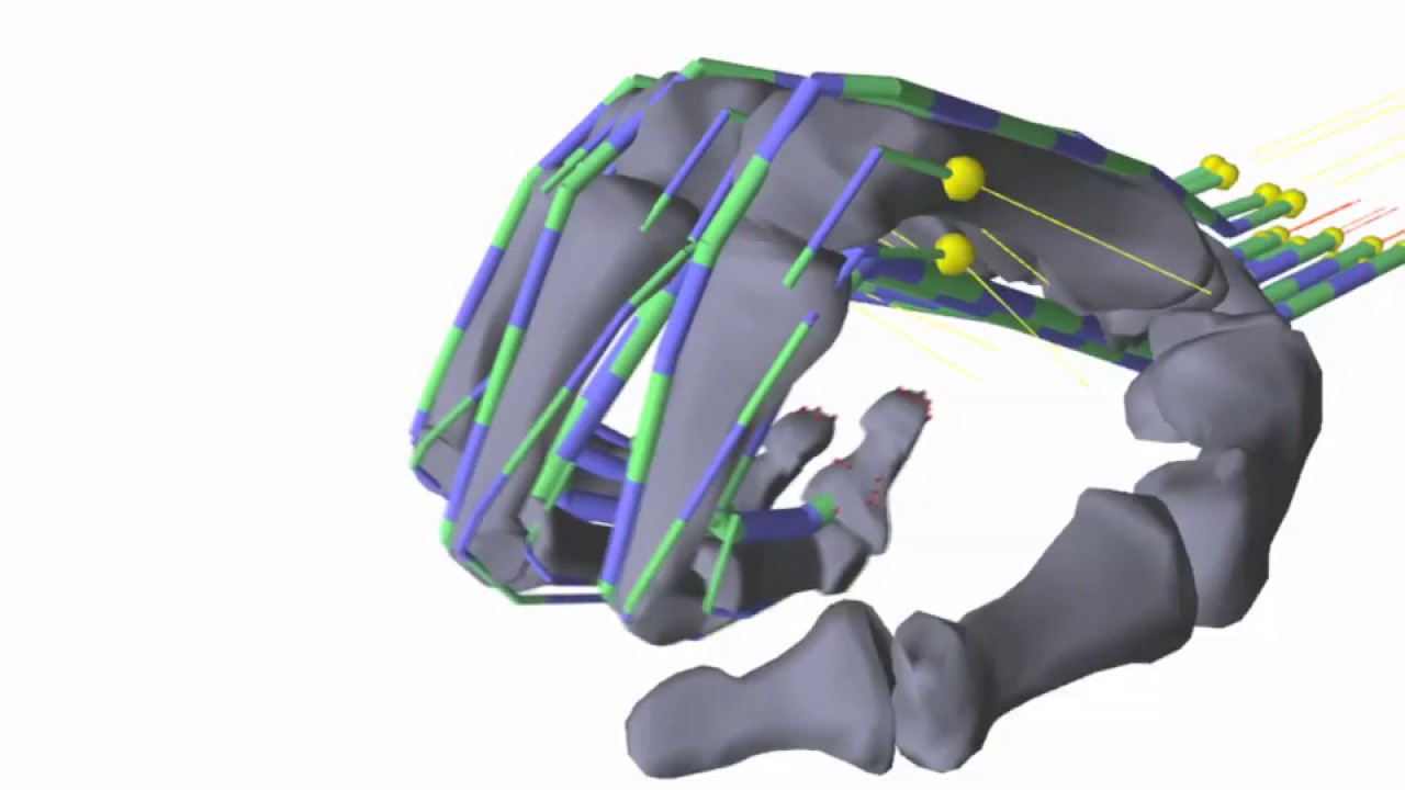 Biomechanical Simulation and Control of Hands and Tendinous Systems ...