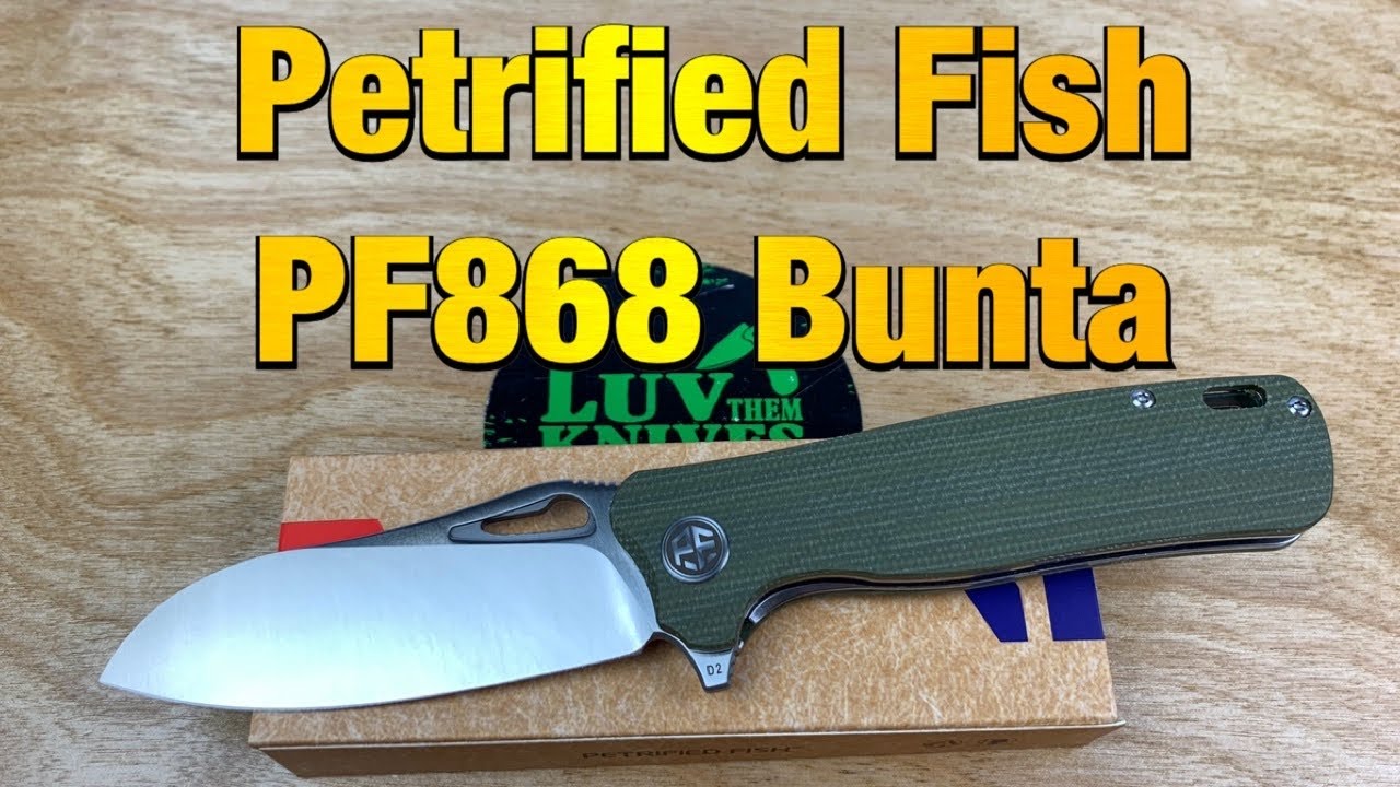 Petrified Fish PF868 Bunta / includes disassembly / D2 blade & Micarta scales under $35 - YouTube