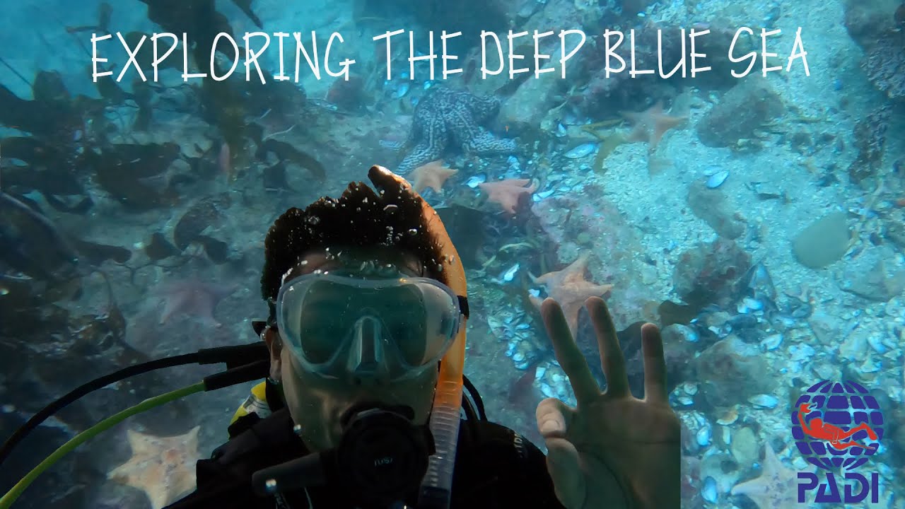 How I got SCUBA diving certified | PADI, Monterey - YouTube
