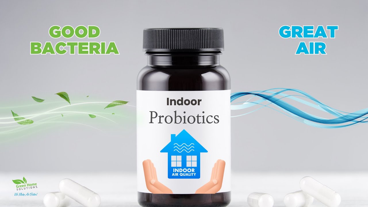 Transform Your Home with Indoor Probiotics: A Fresh Take on Clean Air 🌿 ...