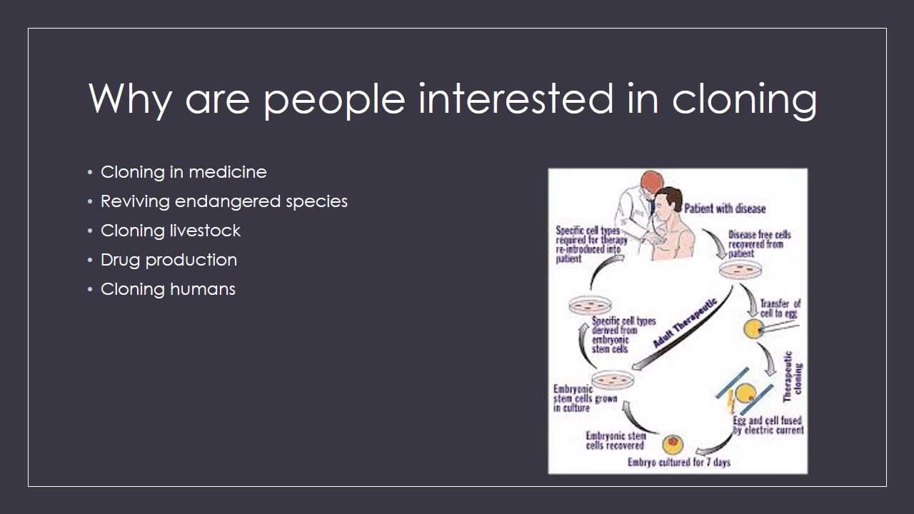 Cloning PowerPoint - YouTube