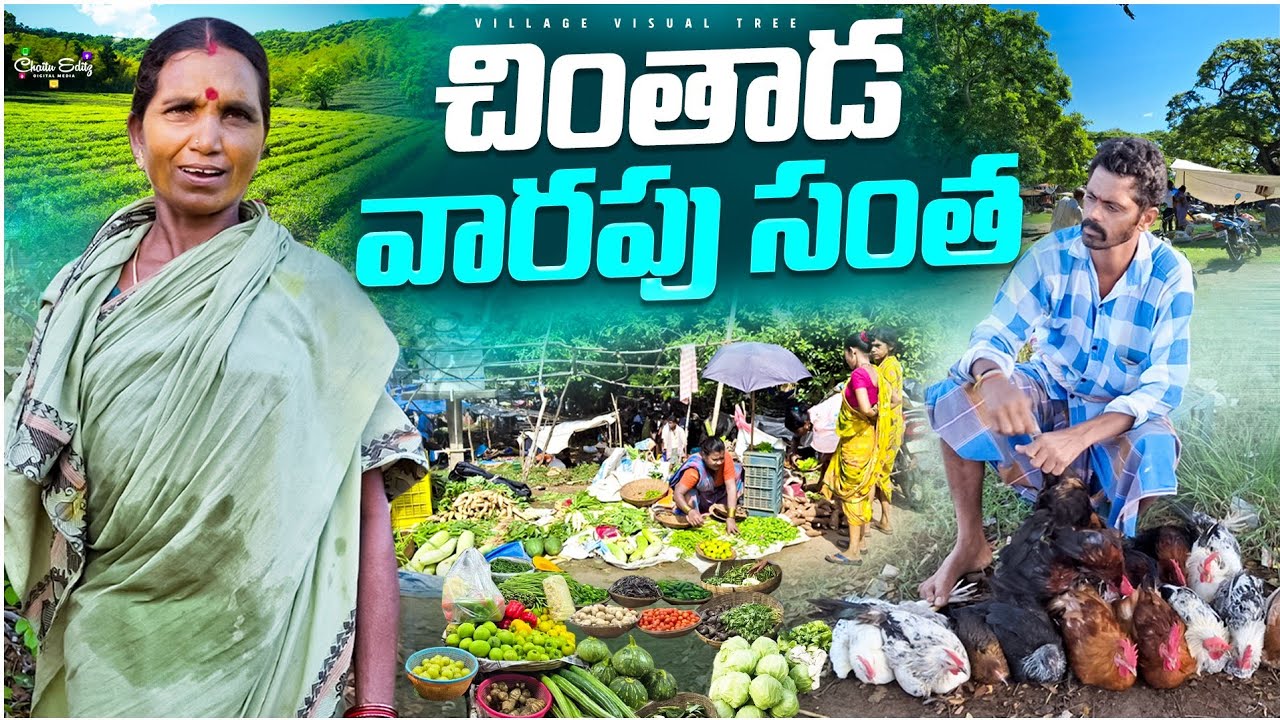 చింతాడ వారపు సంత || chintada weekly market || part 1 - YouTube