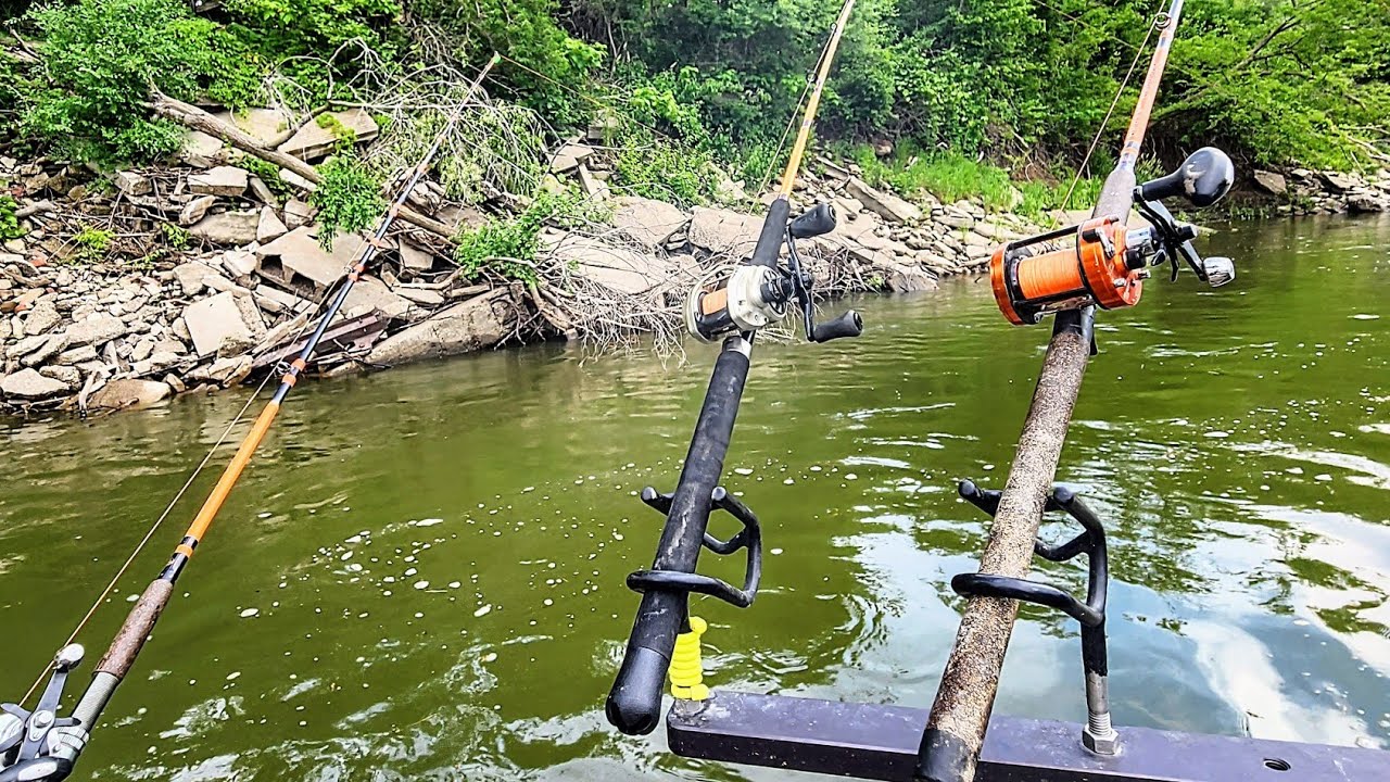 BIG FISH Live Under These CONCRETE SLABS!! (Livebait fishing) - YouTube