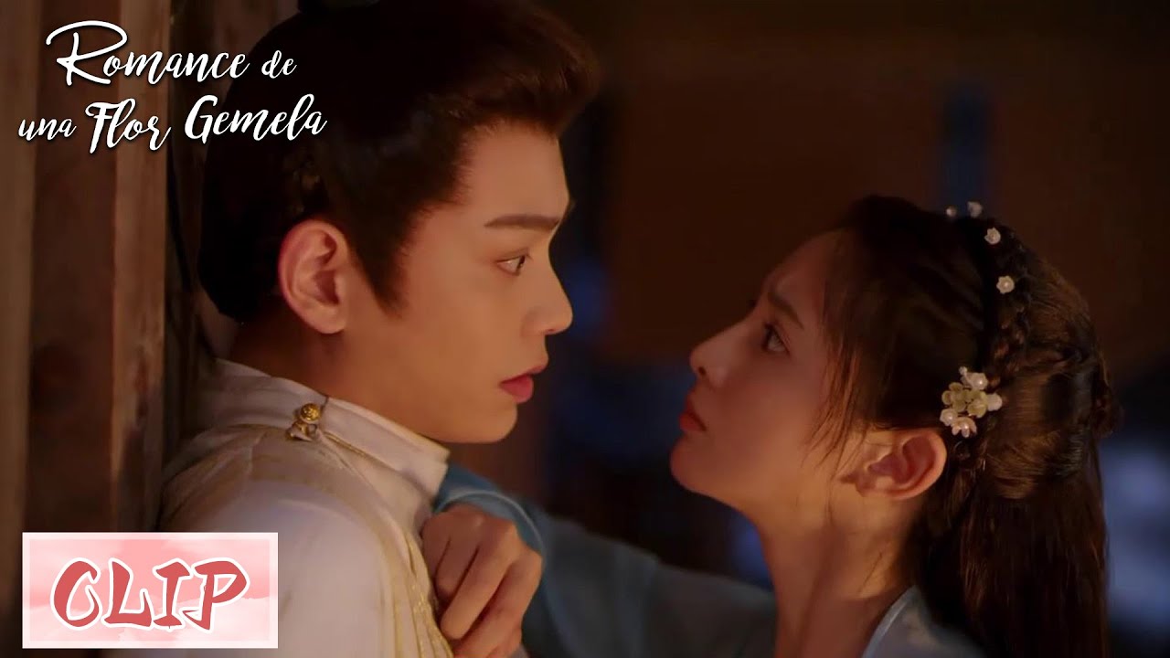 Clip 10 Ning Yuxuan: Definitivamente te protegeré | Romance de una flor ...