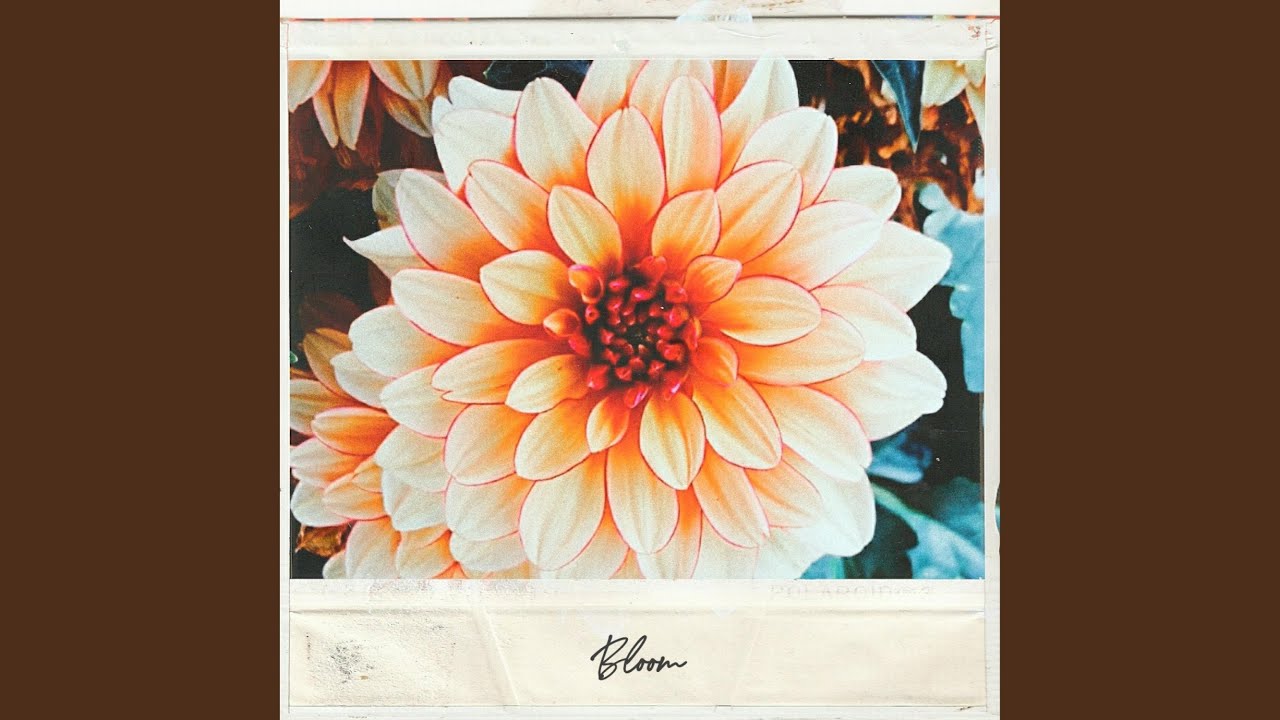 Inch Deep Cuts - YouTube