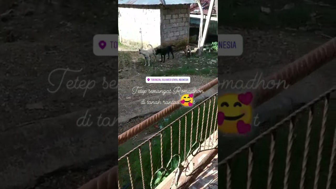 desa tobongo sulawesi utara boltim #manado - YouTube