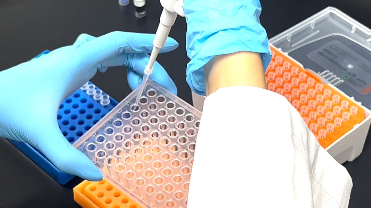 PCR Plate DNA Extraction Fit with Thermal Cycler or real-time PCR ...