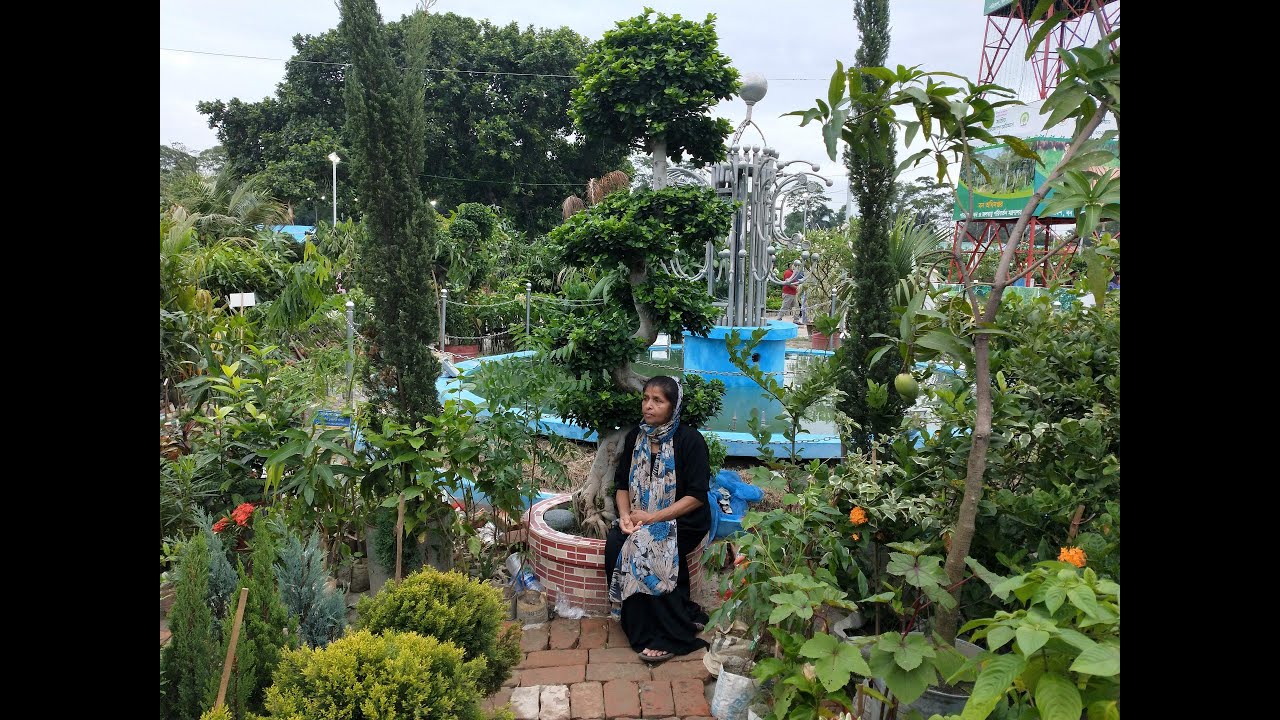 জাতীয় বৃক্ষরোপণ অভিযান ও বৃক্ষমেলা ২০১৯ । Tree Fair -2019. - YouTube
